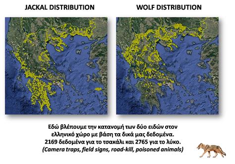 Στους παρακάτω χάρτες μπορείτε να δείτε για πρώτη φορά την πραγματική παρουσία του τσακαλιού