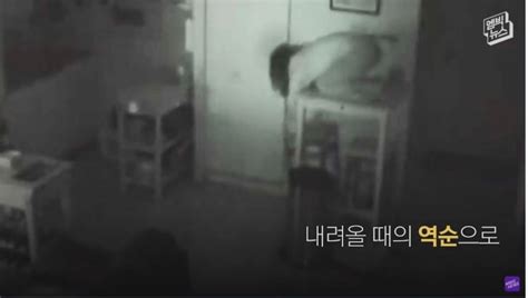 헐리우드 배우가 실제 겪은 일