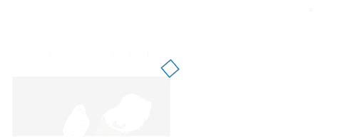 How To Add A Preloader Animation To WordPress Step By Step