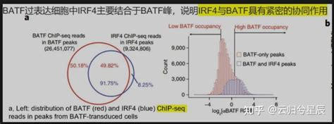 科研人必不可少的chip seq，尽快收藏 知乎