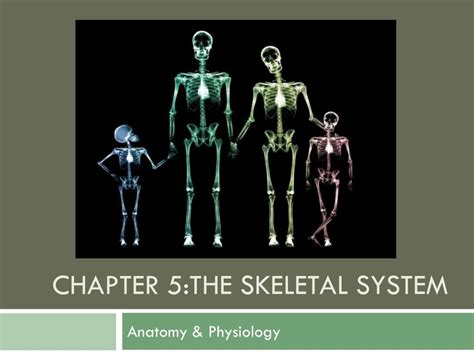 PPT Chapter 5 The Skeletal System PowerPoint Presentation Free Download ID 2166248