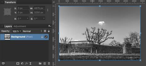 Crop Tool In Affinity Not Working Desktop Questions Macos And Windows Affinity Forum