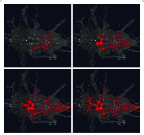 Animated Simulation Of Dendritic Growth Four Frames Of A Time Download Scientific Diagram