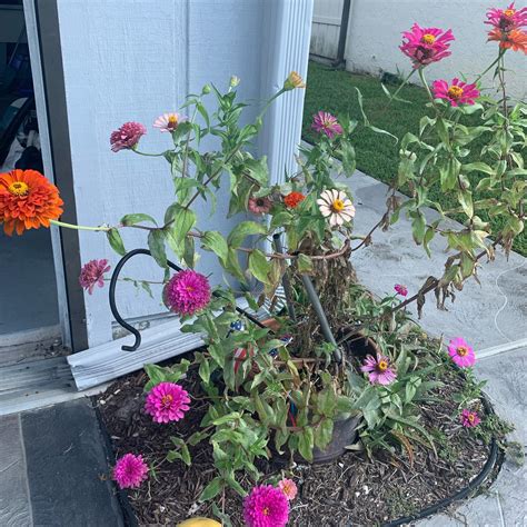 Eileen Mcfadden Real Estate Services Century 21 Tenace Realty Added A New Eileen Mcfadden