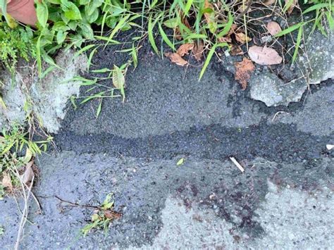 台灣製 高黏度 20kg 常溫 瀝青 柏油 混凝土 鋪路修繕 斜坡 柏油路 道路坑洞 蘆洲 Yahoo奇摩拍賣