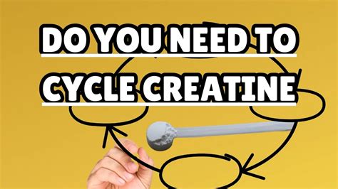 Do You Need To Cycle Creatine The Creatine Cycle Explained