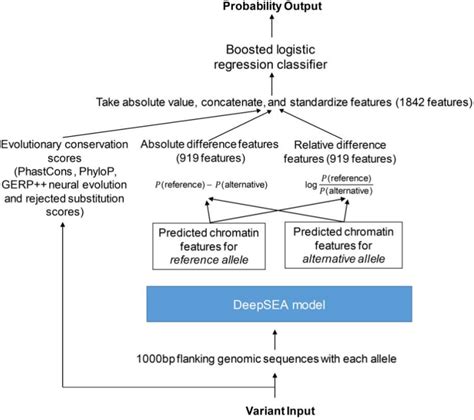 Deepsea 用深度学习预测非编码变异的效应deepsea生物 Csdn博客