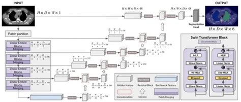 Self Supervised Learning For Organs At Risk And Tumor Segmentation With
