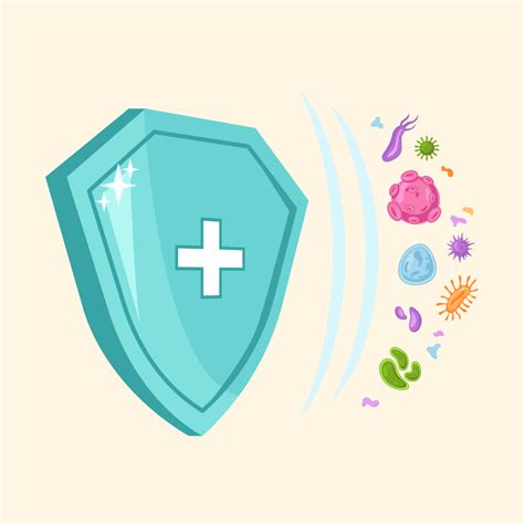 Immunoglobuliny Funkcje I Właściwości Nadmiar I Niedobór