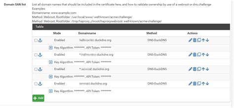 SWAG Duckdns And Multiple Domain Subdomaine Container Support