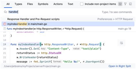 Learn About Differences In Workflows Goland Documentation