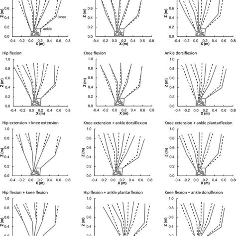Diagram Of Lower Limb Postures After Joint Angle Manipulation Gray In Download Scientific