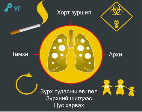 Мэдлээ Цахим контент