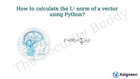 How To Calculate The L Norm Of A Vector Using Python The Security Buddy