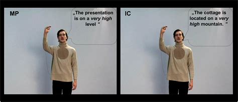 Frontiers The Role Of Gamma Oscillations During Integration Of