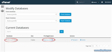 Cách Tạo Database Trong Cpanel Trên Shared Hosting Buaxuavn