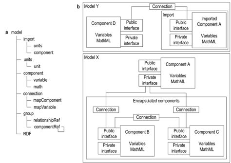 1 Cellml Structure A The Hierarchical Structure Of The Cellml