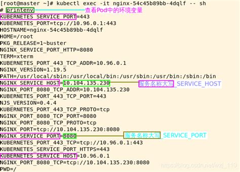 kubernetes 二十五 service 四 服务发现 etcd default headless csdn博客
