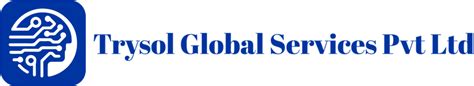 Best Software Company For It Solutions Trysol Global Services
