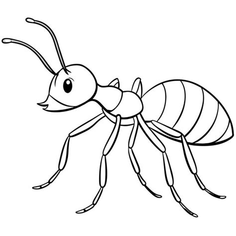 Ant Coloring Pages Vector Art Icons And Graphics For Free Download