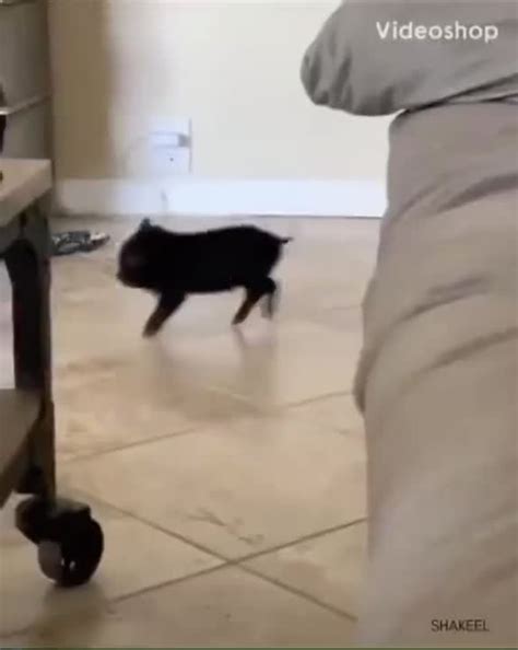 The Cyber Security Hub™ On Linkedin Windowsupgrade Windows11 Windowsadmin Sysadmin 14