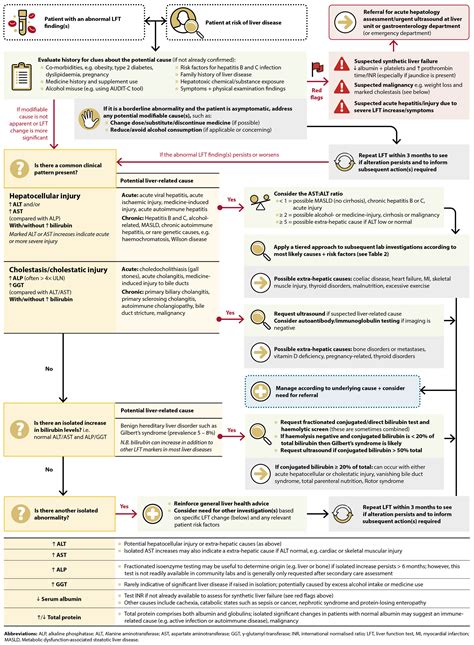 Liver Function Tests In Primary Care Bpacnz