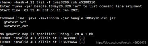 使用beagle发生错误的解决办法error Invalid Alt Allele At 13439801 Linux下统计文件