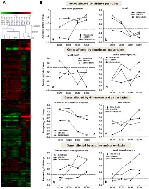 A Heat Map And Hierarchical Clustering Of Samples Pearsons Download Scientific Diagram