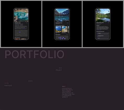 Uxui Designer Website Portfolio Behance