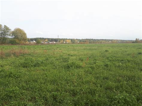 Земли сельхозназначения Московская область Раменский городской округ сельское поселение