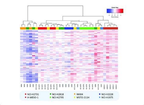 Hierarchically Clustered Heatmap Showing The Result Of Hierarchical Download Scientific