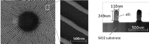 SEM Image Of The Central Region Left And Of A Cross Section Download Scientific Diagram