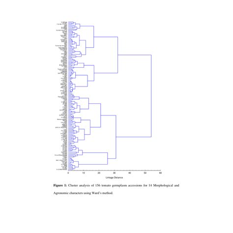 Pdf Morphological And Agronomic Characterization Of Tomato Under