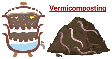 Earthworm Composting Diagram Diagram Earth Worm Stock Illustrations