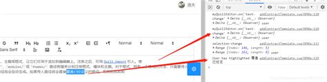 Vue中使用vue Quill Editor富文本编辑器并监听文本变化，选区变化事件vue Quill Editor 事件 Csdn博客
