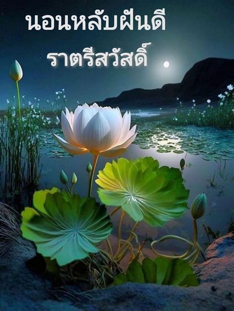 ปักพินในบอร์ด ราตรสวัสดิ์วันพุธ รูปภาพ ฝันดีราตรีสวัสดิ์ ราตรีสวัสดิ์