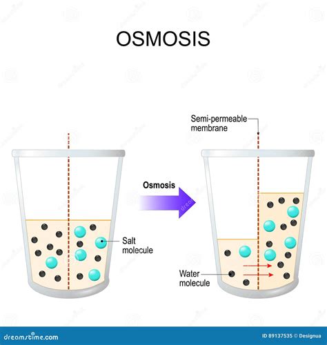 Osmotic Cartoons, Illustrations & Vector Stock Images - 58 Pictures to ...