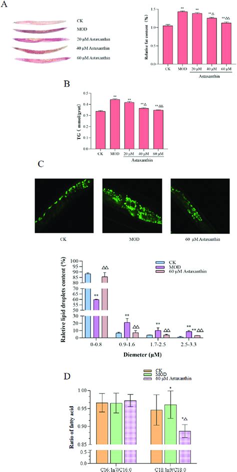Effects Of Astaxanthin On Anti Obesity In High Fat C Elegans A Download Scientific Diagram