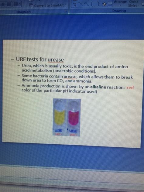 Exercise 8 Use Of The Api 20e System To Identify Gram