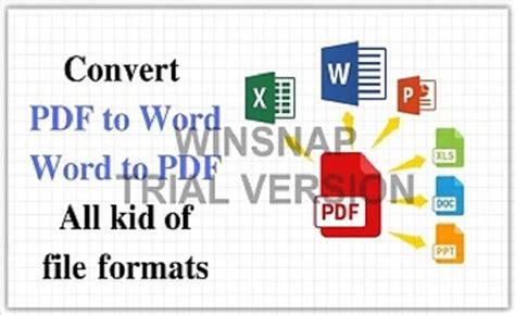 Do File Conversions Excel To Mysql Variable Data Barcode Qr Code By