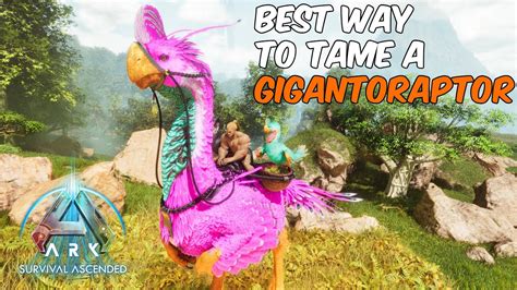 Best Way To Tame A Gigantoraptor In Ark Survival Ascended Ark Arksurvivalascended Best Way To Tame A Gigantoraptor In Ark Survival Ascended Ark Arksurvivalascended