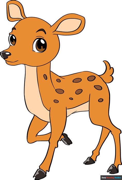 How To Draw A Deer Step By Step