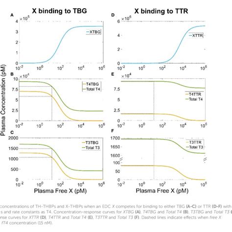 Simulation Of Th Tracer Experiments To Determine Distribution Phases