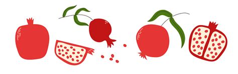 추상적인 석류 세트입니다 간단한 석류 주스 스무디 또는 건강 식품을 위한 유기농 과일 인테리어 포스터 배너를 위한 과일 수집 디자인 흰색 배경에 벡터 그림 거친 필름 효과에