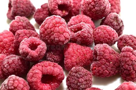 Frost Preserved Raspberry Fruits Stock Image Image Of Diet Falling