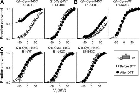 Effects Of DTT Treatment On The Voltage Dependence Of Activation Of Download Scientific Diagram