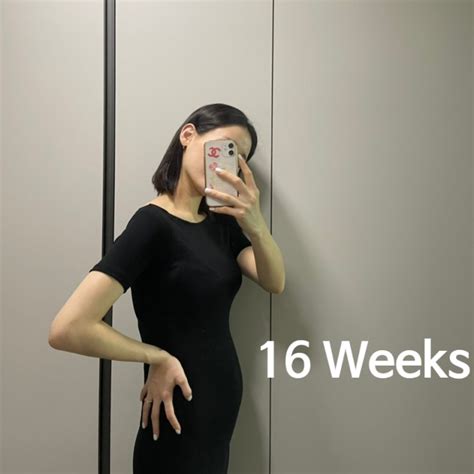 임신 16주 17주 주수기록 5개월 임산부 배크기 및 체중 증감 네이버 블로그