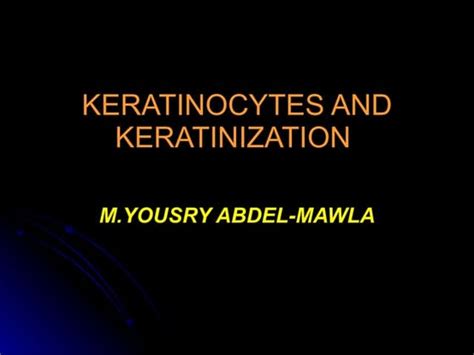 Keratinization Pptx Skin And Dermatology Diseases And Conditions