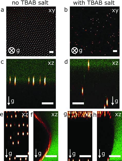 Salt Induced Particle Dislodgement Of Non Touching Particles From An Download Scientific