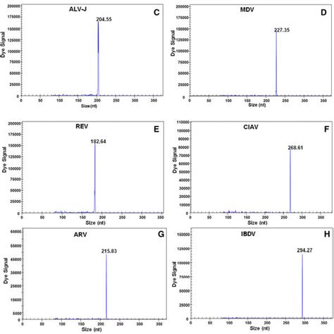Gexp Multiplex Pcr Interference Assays The Gexp Multiplex Pcr Assay